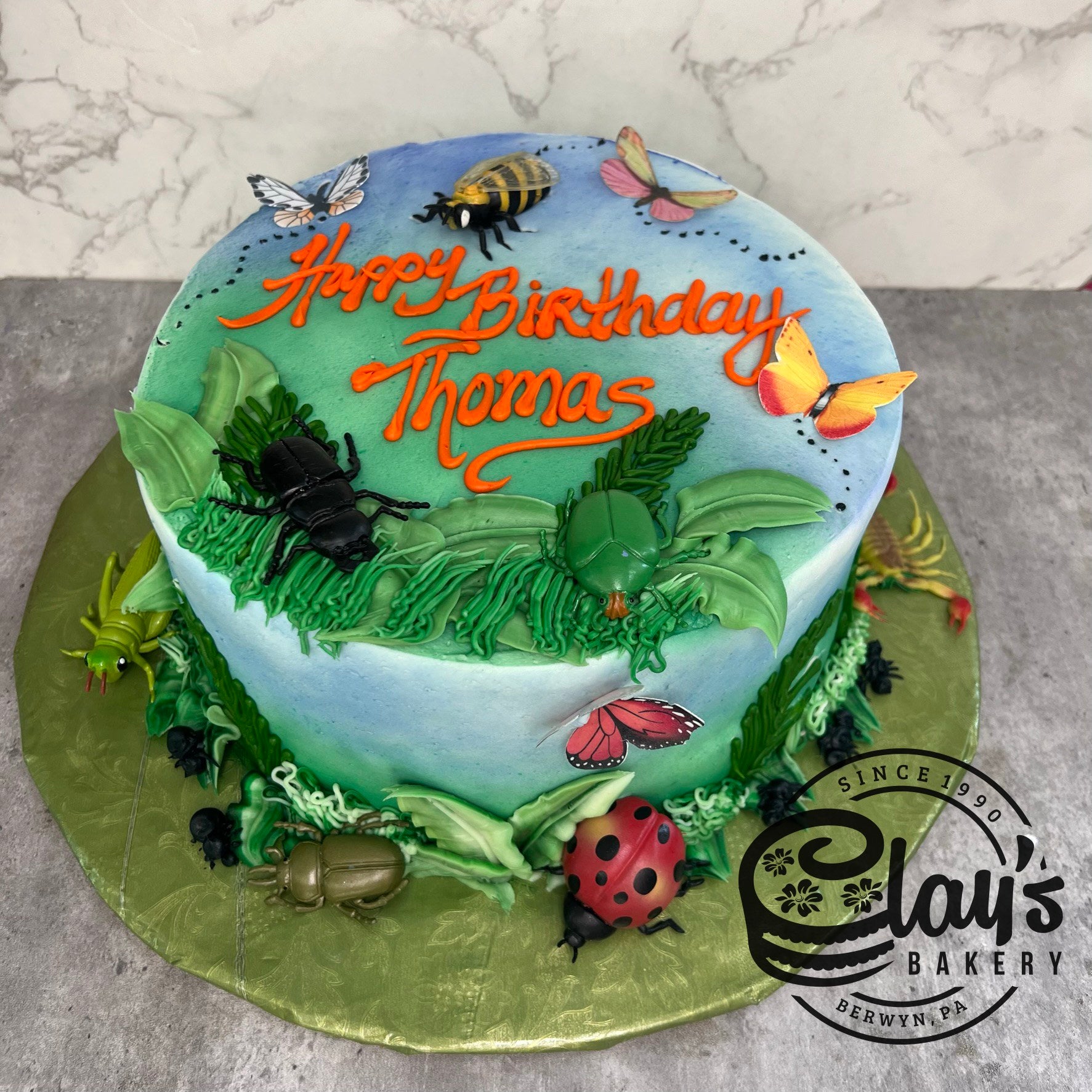 Bugs Galore – Clay's Bakery