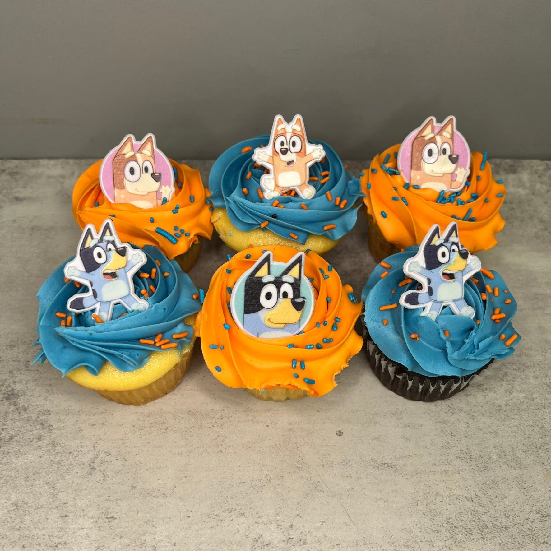 Bluey Ring Cupcakes – Clay's Bakery