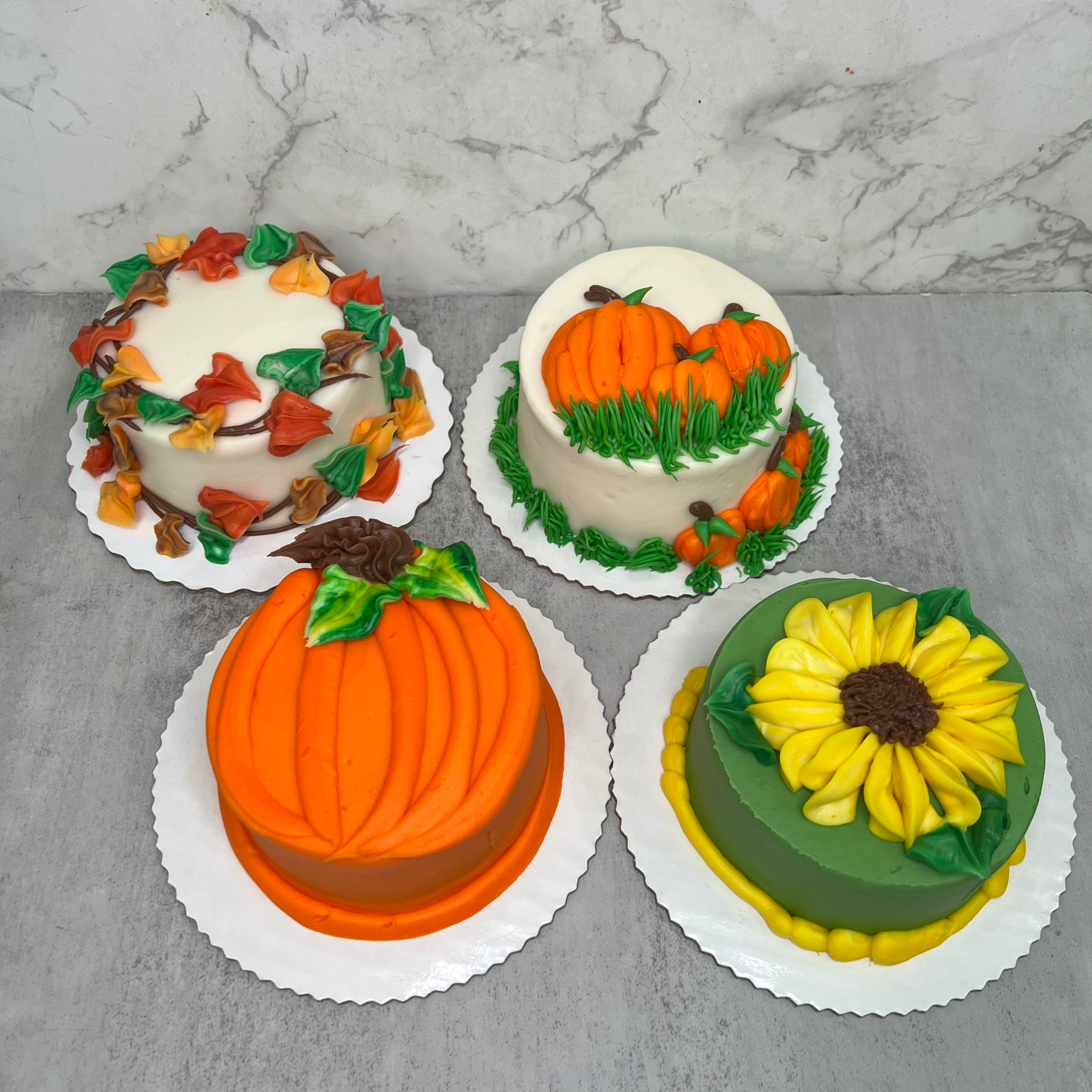 4" Lunchbox Bento Cake - Fall Design – Clay's Bakery
