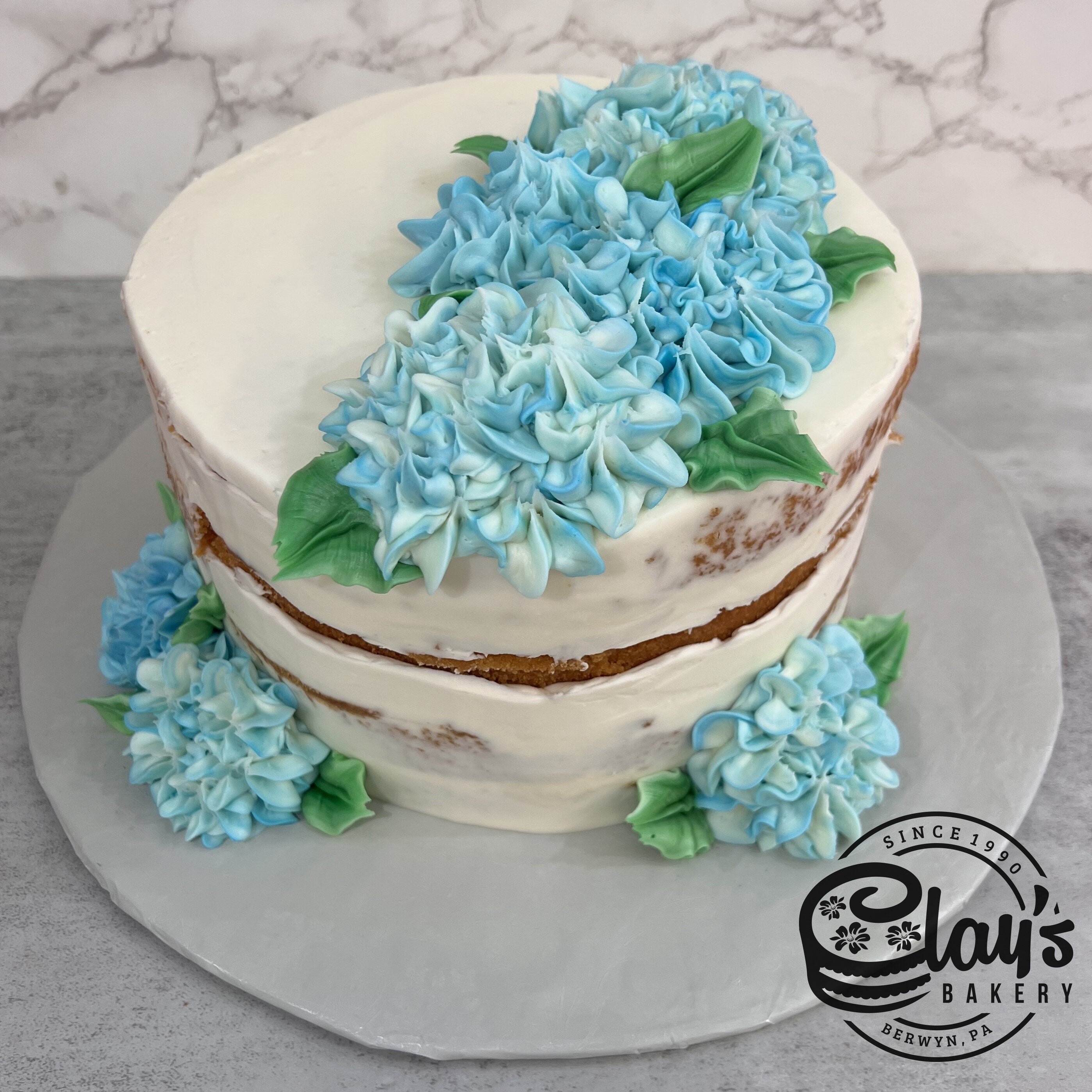 Naked Hydrangeas – Clay's Bakery